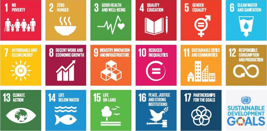 SDG: The Business Case | Capital Finance International